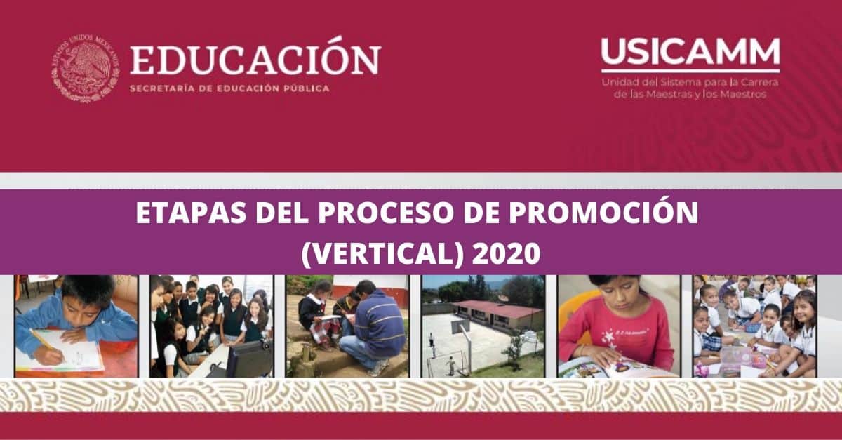 Etapas del Proceso de Promoción (VERTICAL) Educación Básica 2020